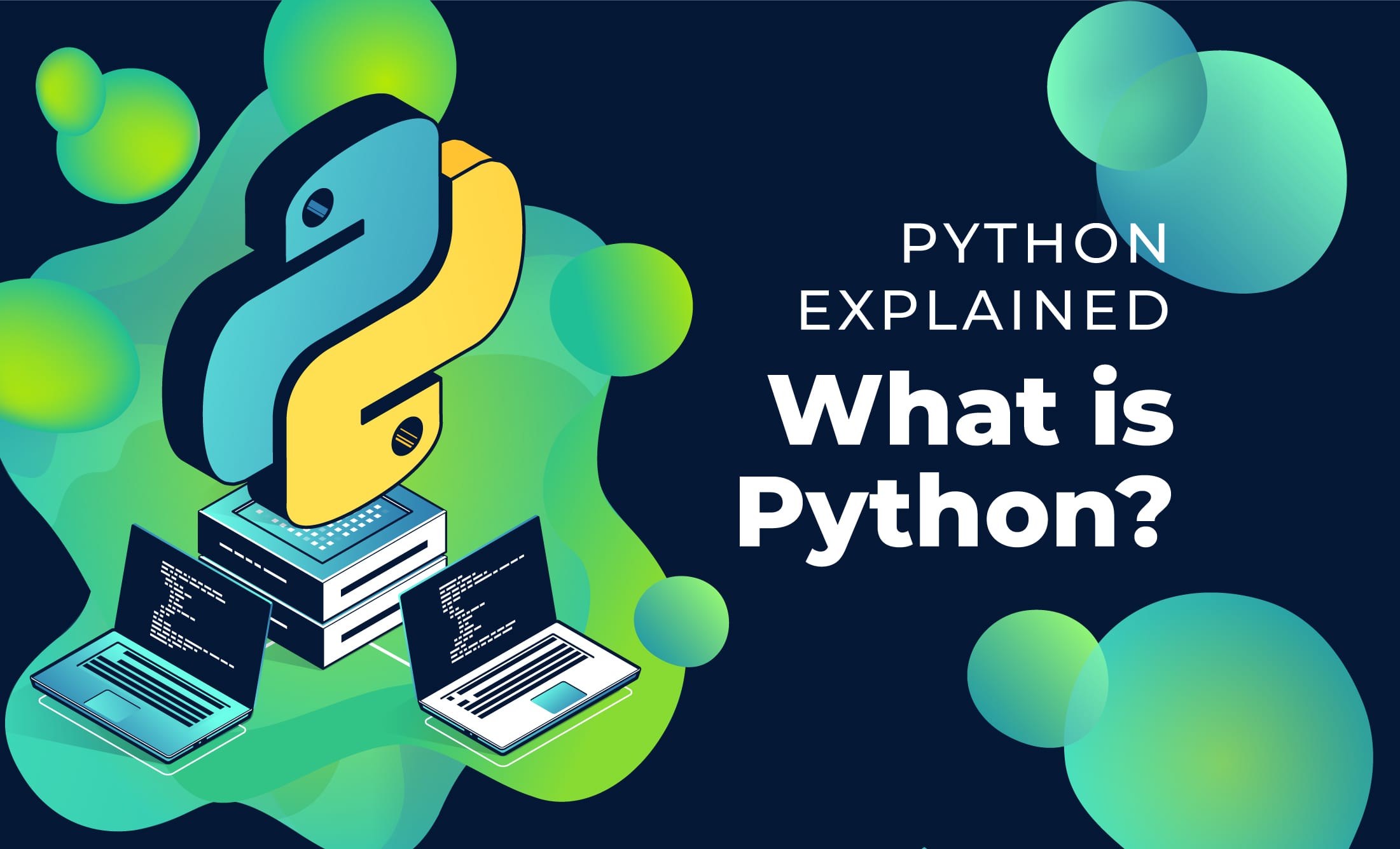 Python Explained - What is Python? - Moralis APIs