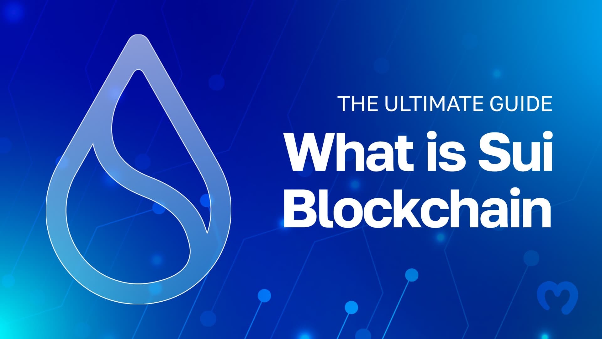 Guide: What is Sui Blockchain? Next-Gen Network by Mysten Labs