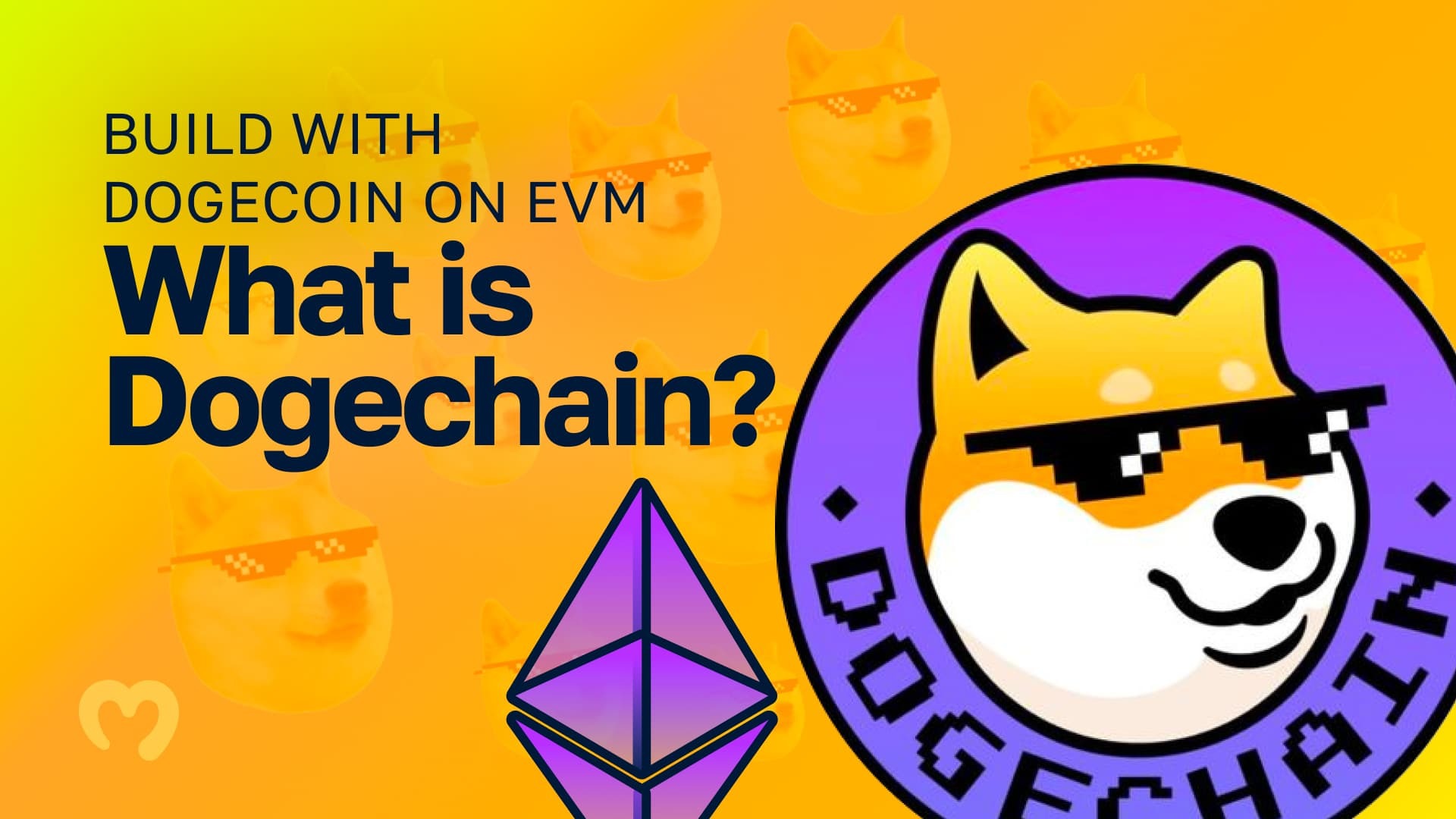 Build with Dogecoin on EVM - What is Dogechain? - Moralis APIs