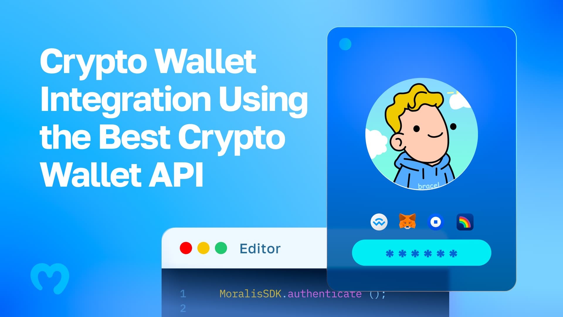 Crypto Wallet Integration Using the Best Crypto Wallet API - Moralis APIs
