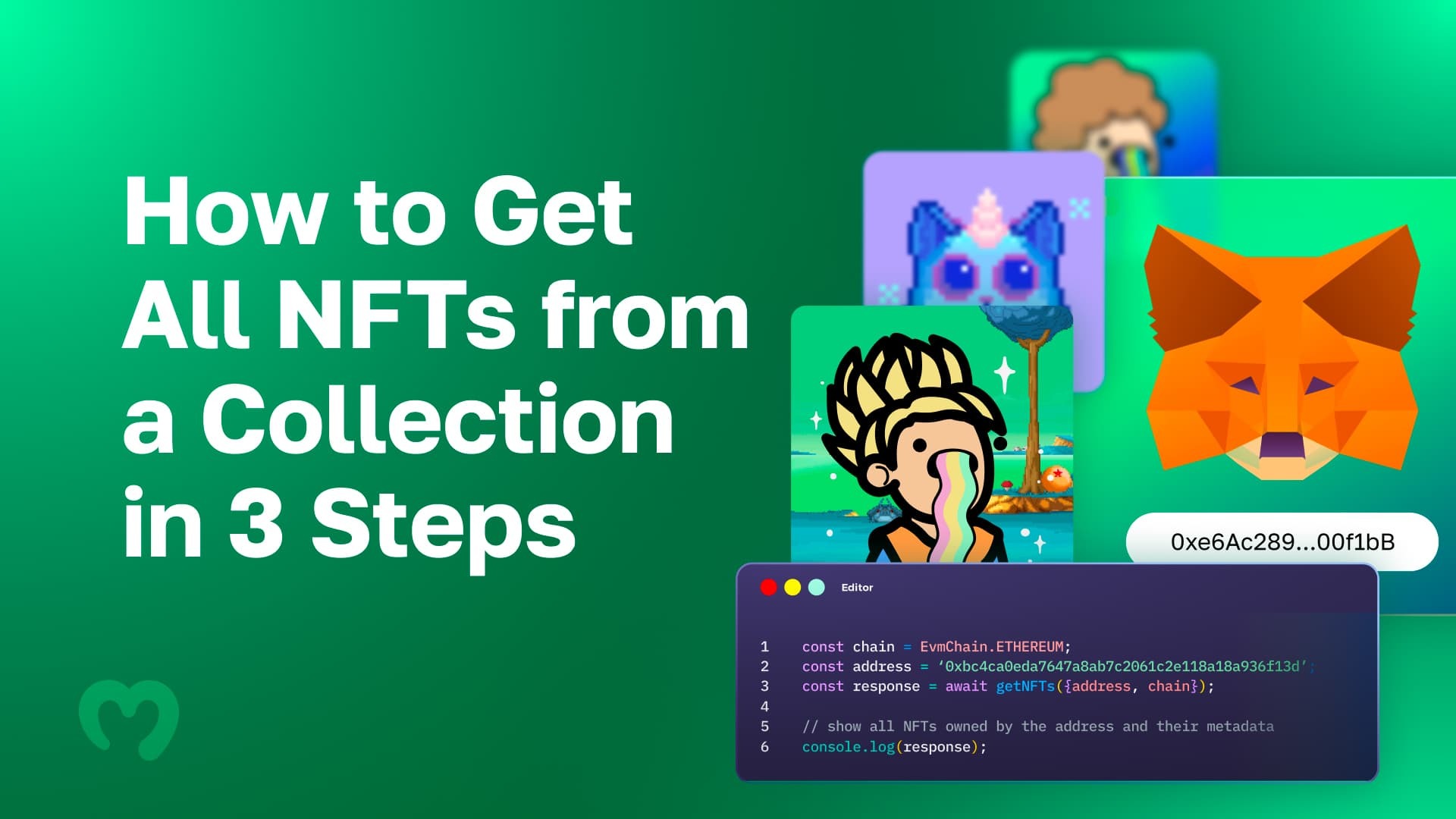 How to Get All NFTs from a Collection in 3 Steps - Complete Guide