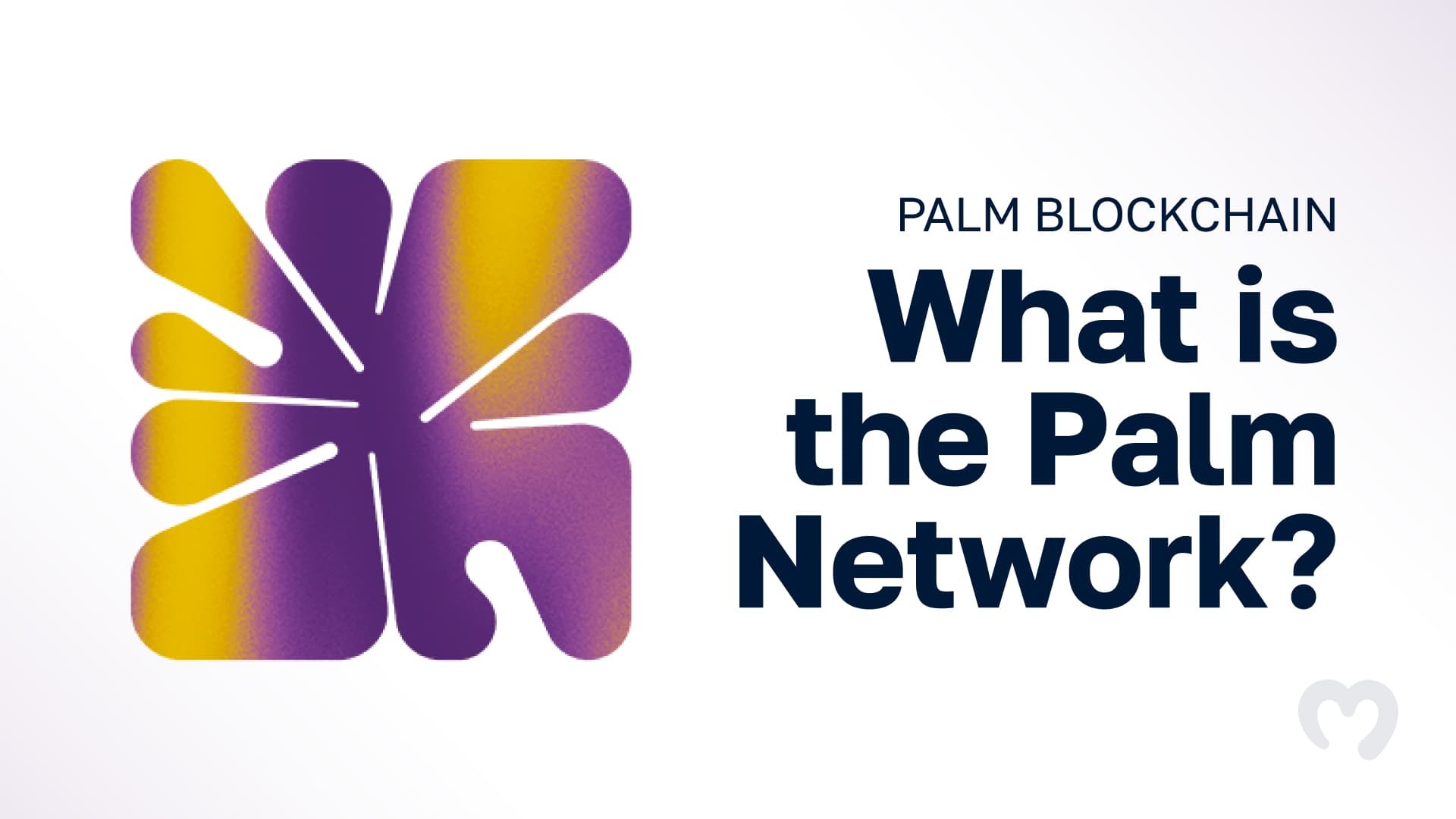 Palm Blockchain - What is the Palm Network? - Moralis APIs