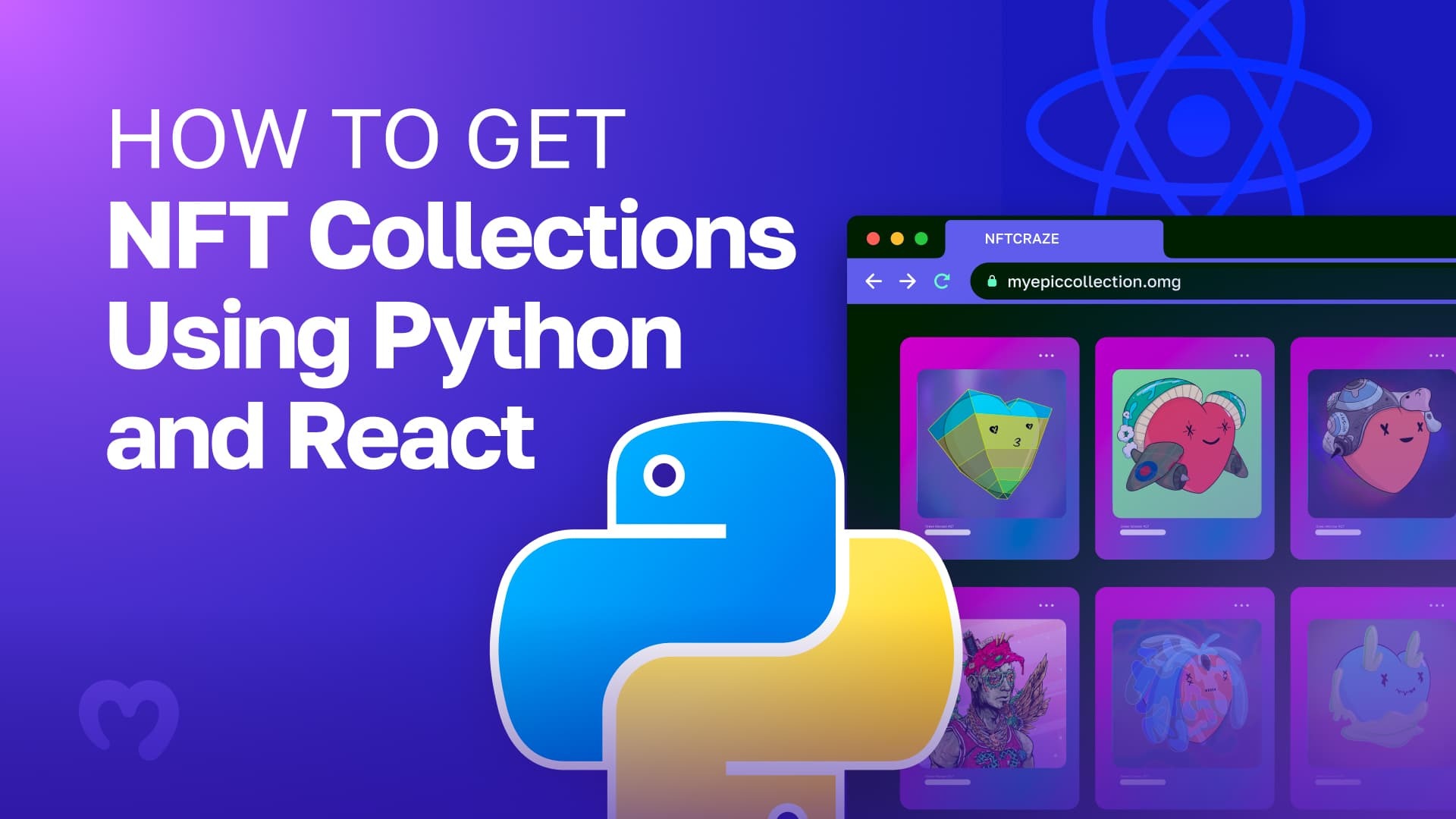 How to Get NFT Collections Using Python and React