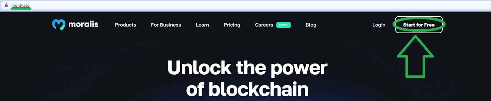 Get NFT Metadata - How to Get the Metadata of an NFT