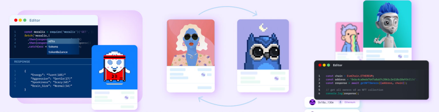 Multichain NFT API - Moralis | Enterprise-Grade Web3 APIs