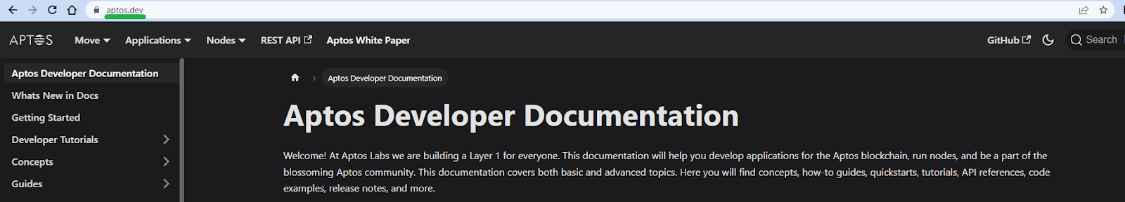 Full Guide: What is Aptos and How Does the Aptos Chain Work?