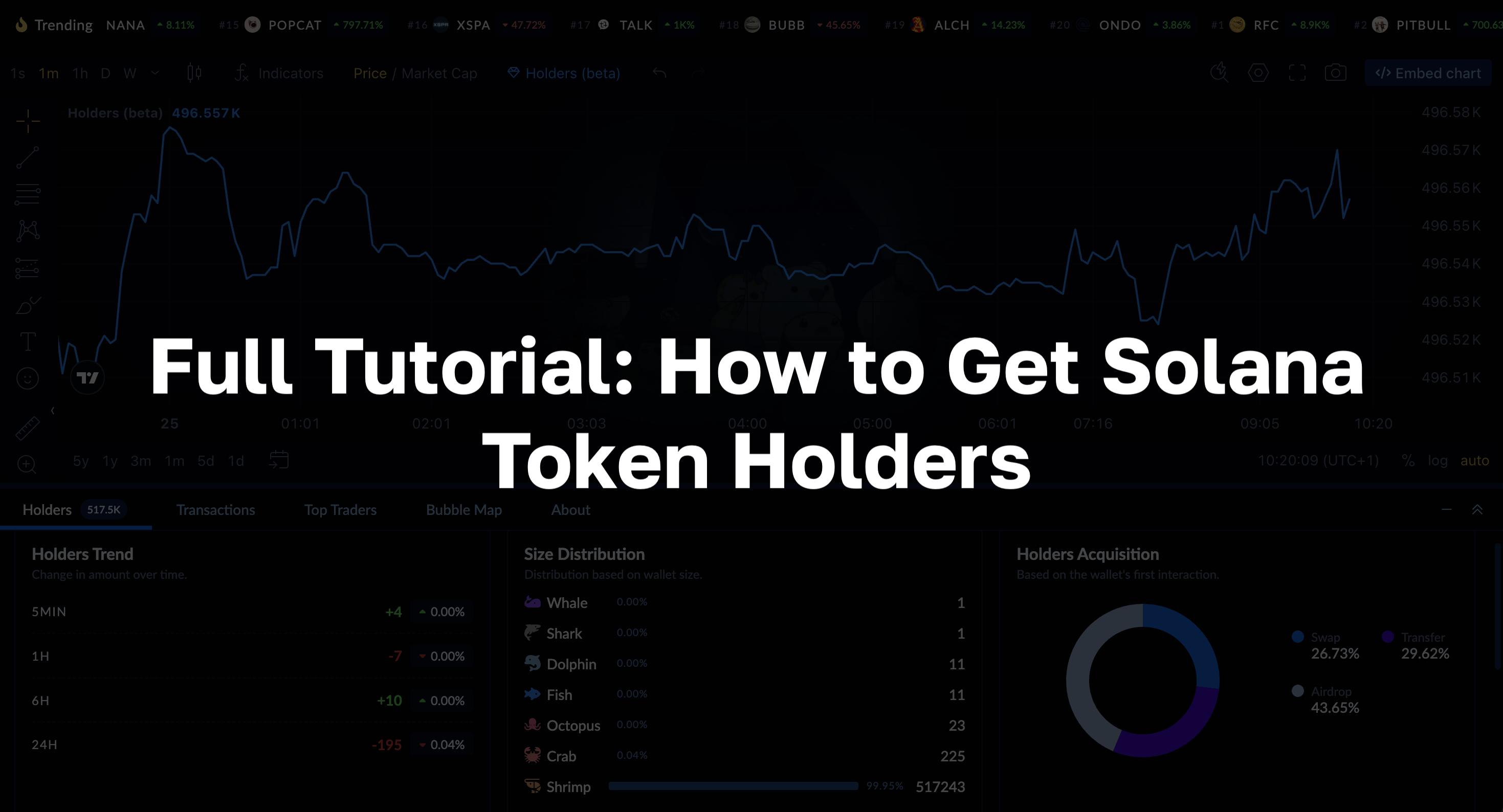 Full Tutorial: How to Get Solana Token Holders - Moralis APIs