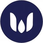 WardenSwap - Web3 Wiki