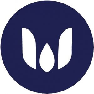 WardenSwap - Web3 Wiki